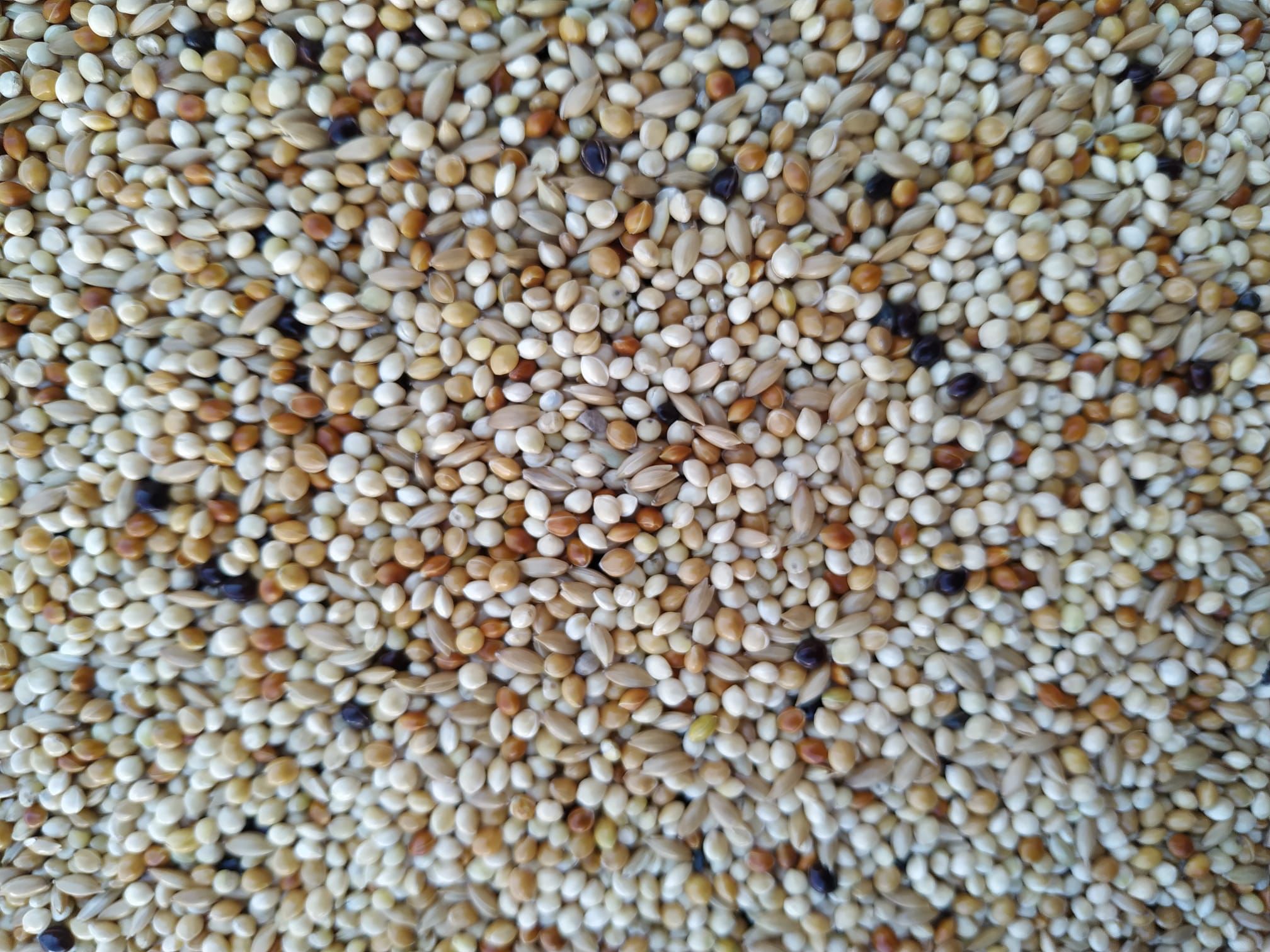 YEM ÇEŞİTLERİ ürünleri - Seba Kafes - Rulolu Tel Kafesler, Tavalı ...